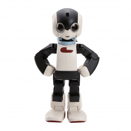 Build your own Robi Robot | De Agostini | ModelSpace
