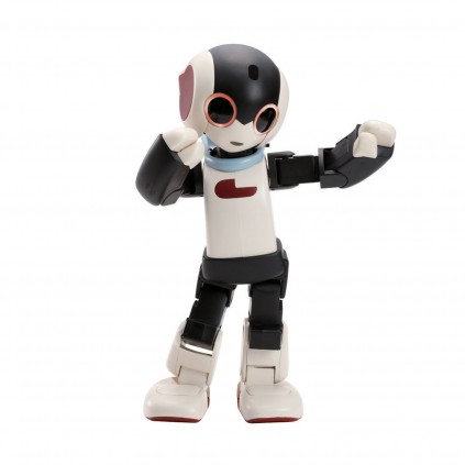 Build your own Robi Robot | De Agostini | ModelSpace